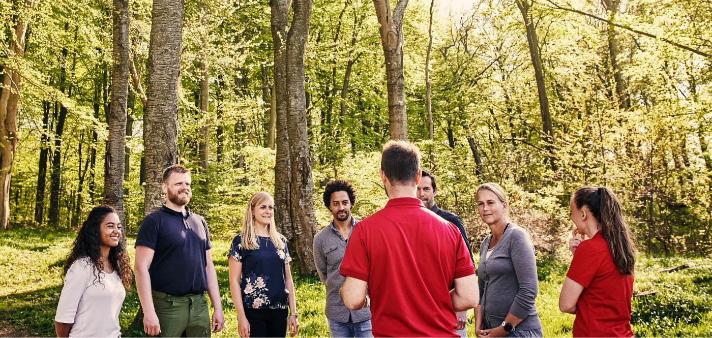 5 Causes of Deforestation - One Tree Planted