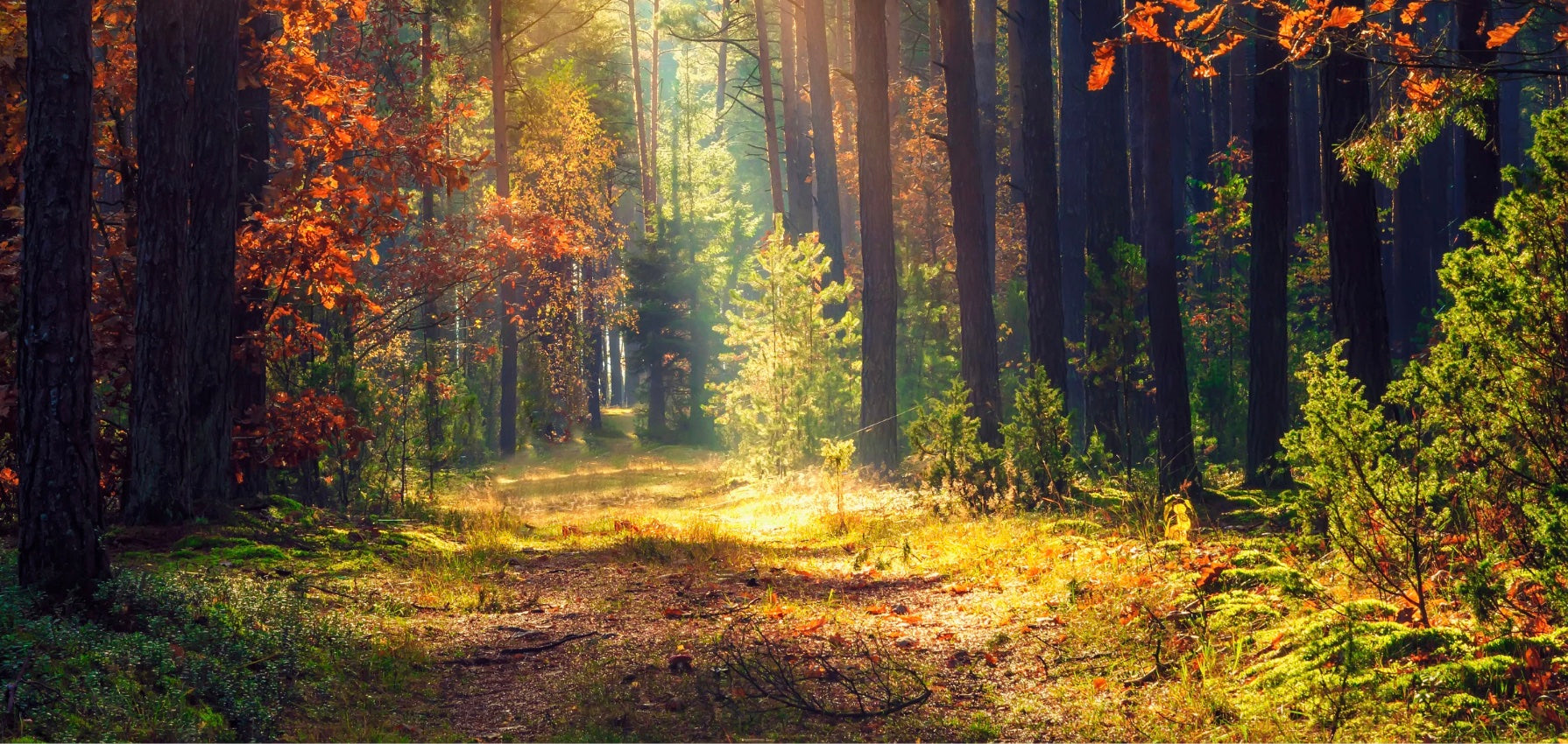 Good News! 6 Positive Environmental News Stories From August 2023 - One ...