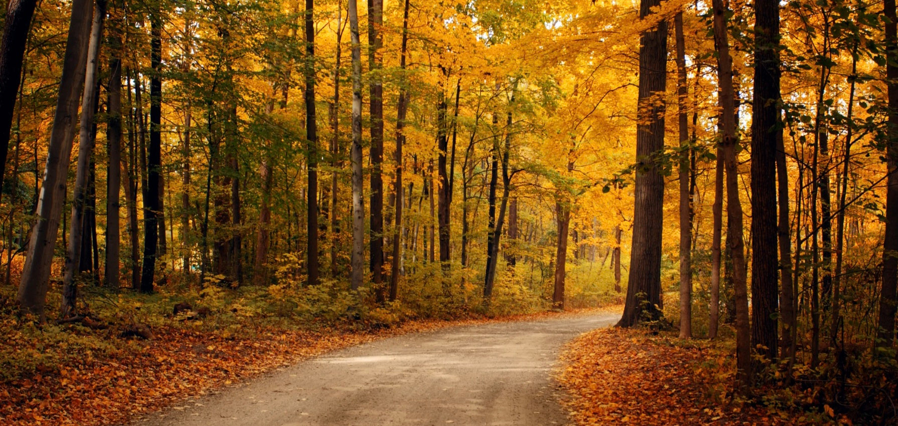 Good News! 6 Positive Environmental News Stories From September 2023 ...