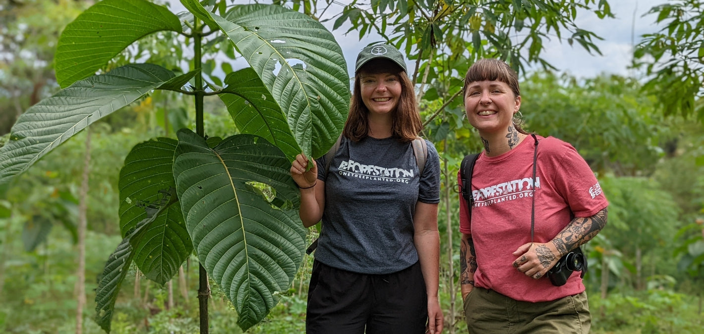 2022 Impact: 52 Million Trees Planted Across the Globe - One Tree Planted