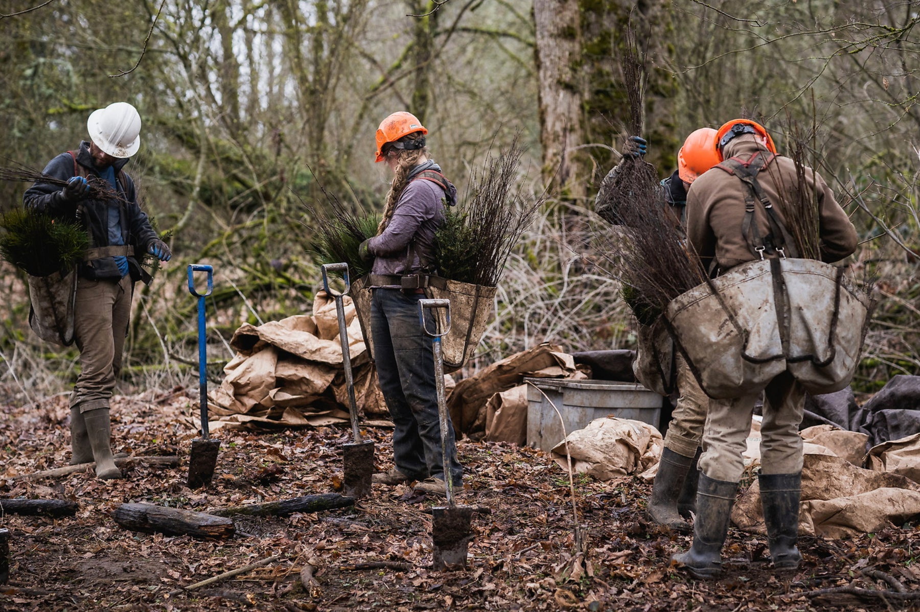 One Tree Planted Joins US Chapter of Global Trillion Trees Movement