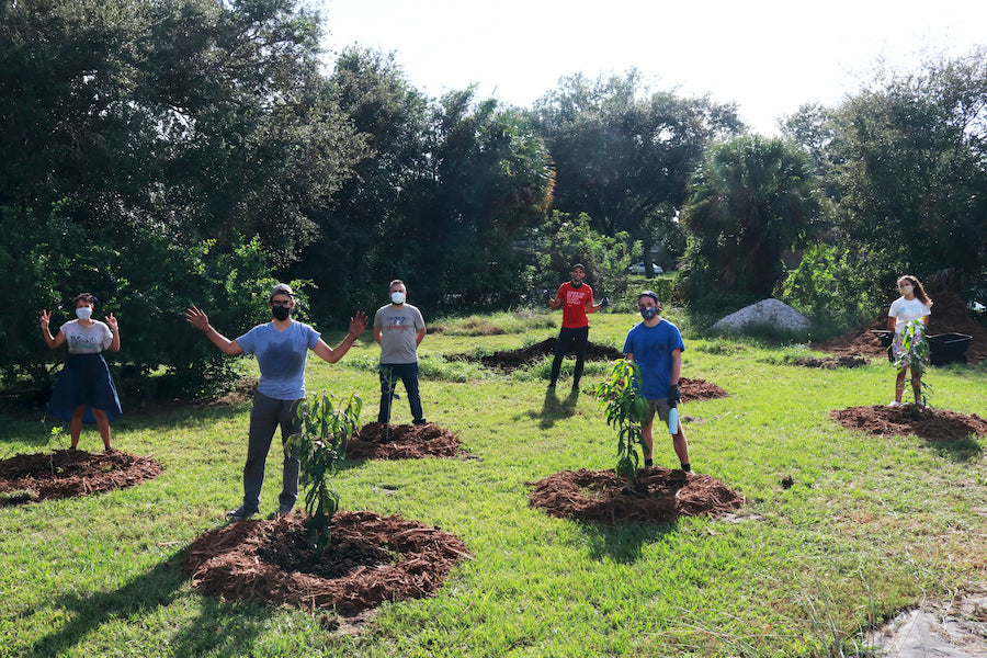 Plant a Tree Day 2020: Hope in Action - One Tree Planted