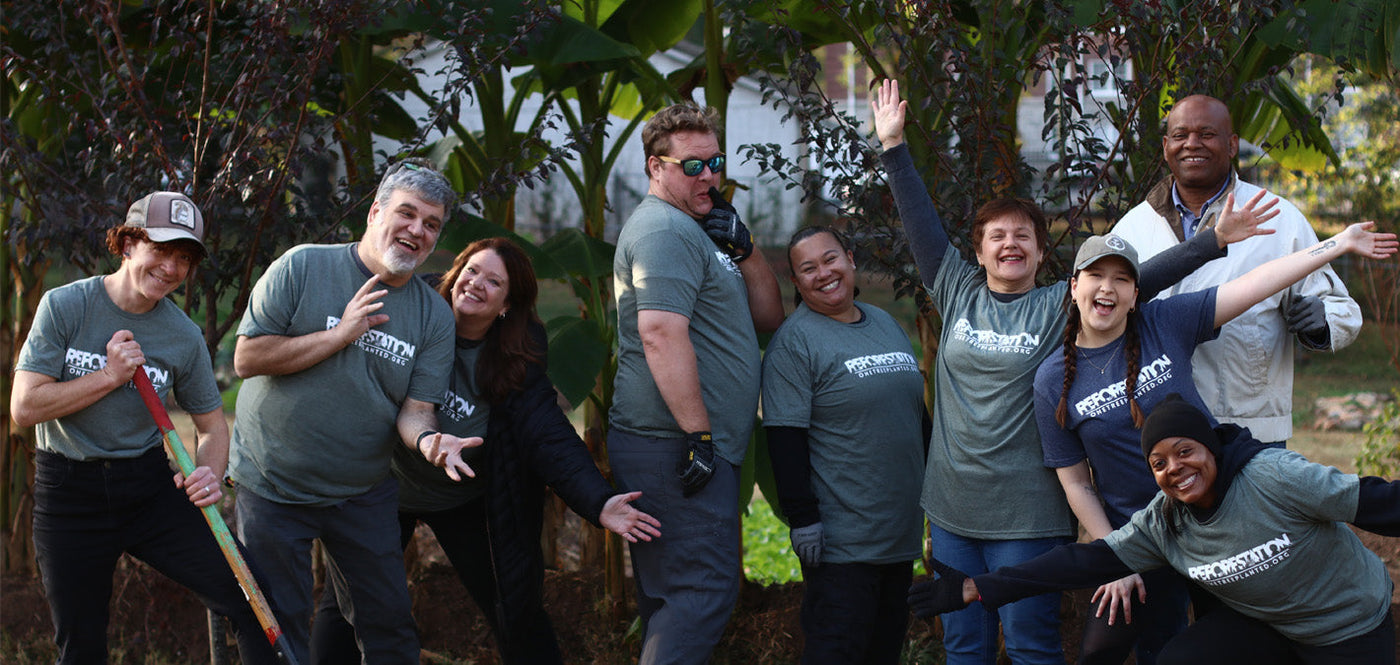 5 Important Tree Species You Need to Know - One Tree Planted