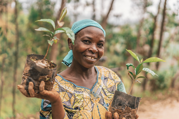 How the Restoration Economy Can Incentivize Growing Trees - One Tree ...
