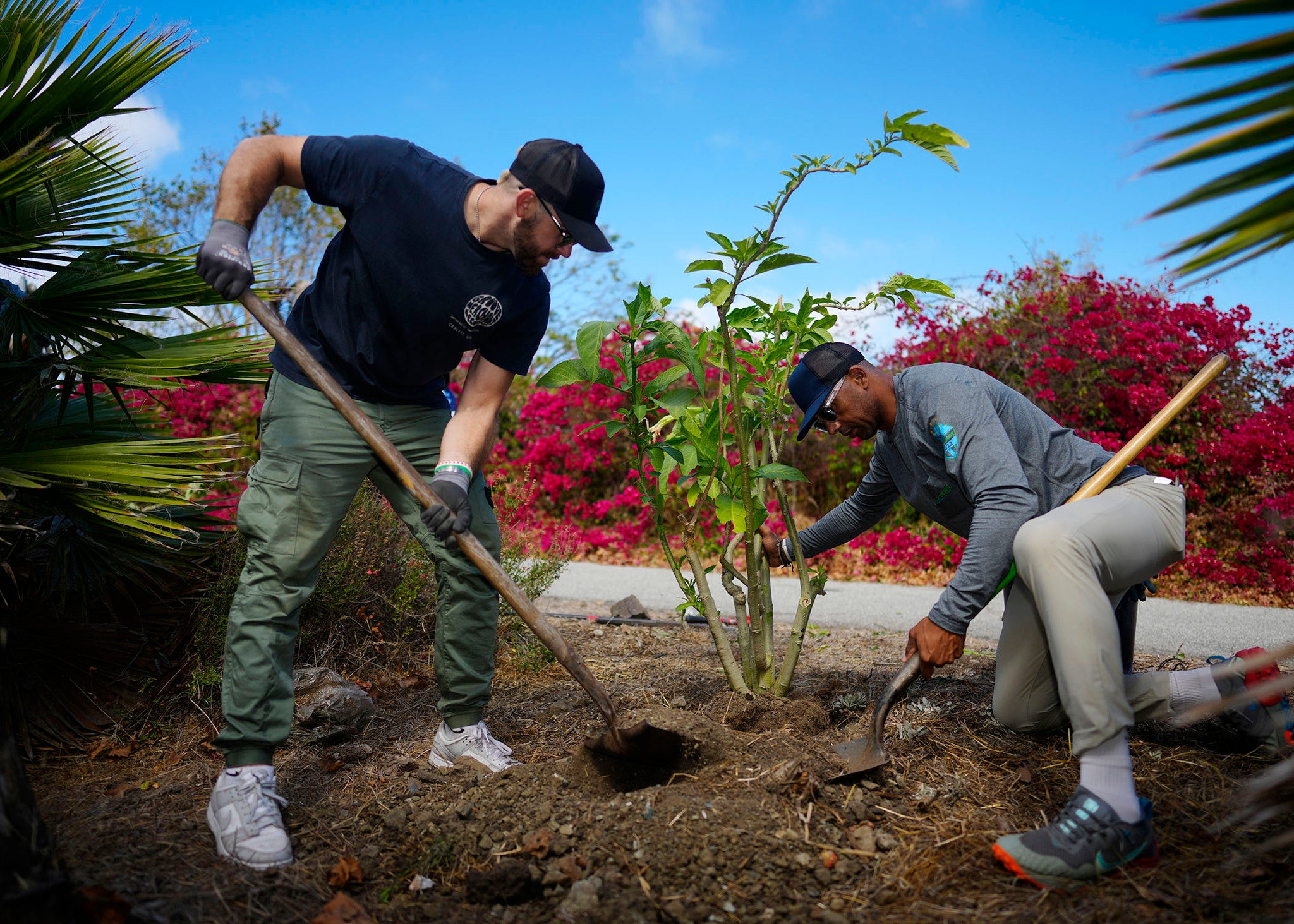 Sports Sustainability: How Leagues, Teams, and Athletes Can make a Pos ...