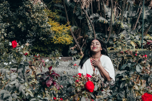 Good News! 31 Positive Environmental Stories from 2020 - One Tree Planted