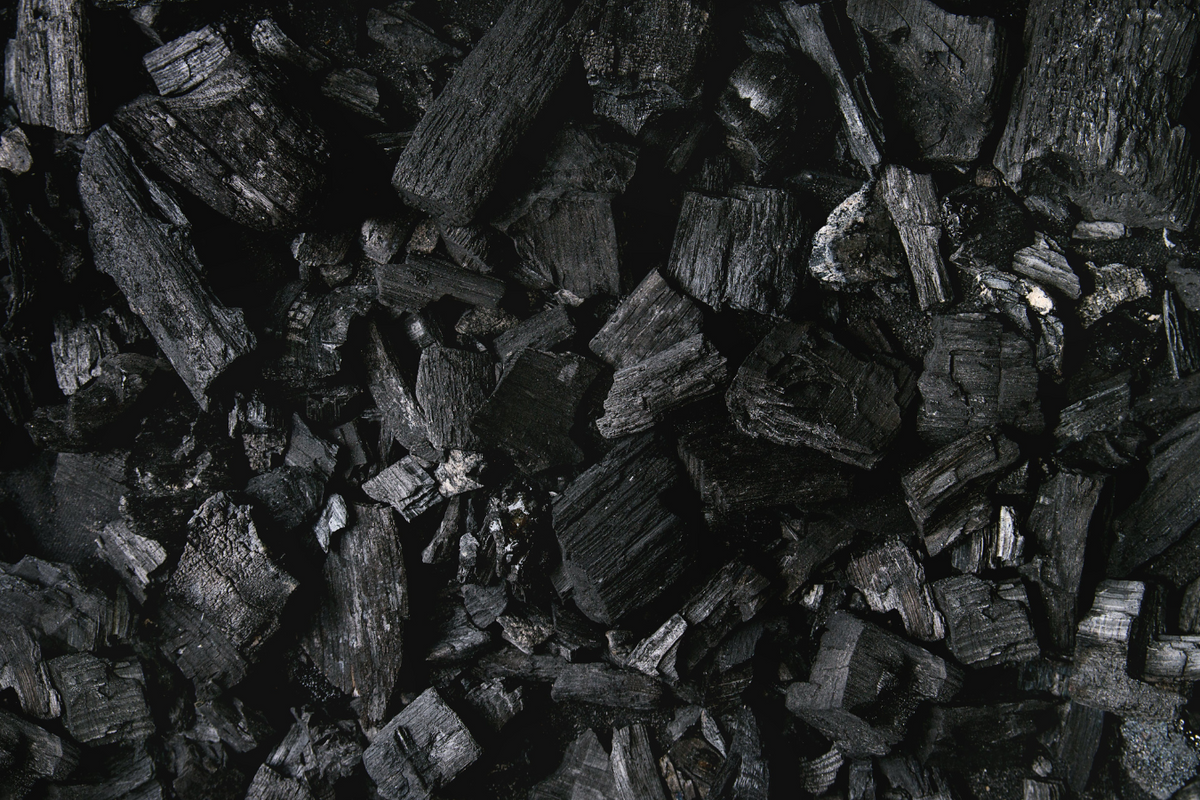 What is Biochar and How Can It Help the Environment? - One Tree Planted