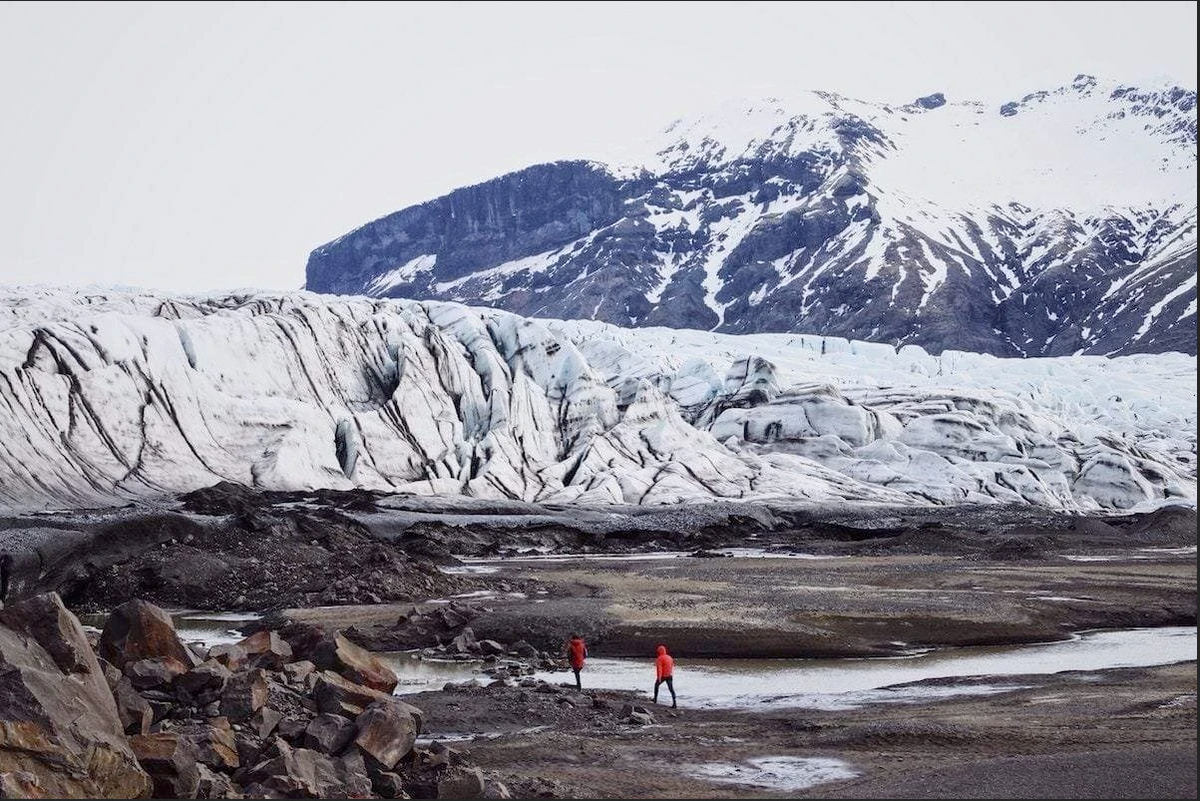 Global Warming vs. Climate Change | One Tree Planted