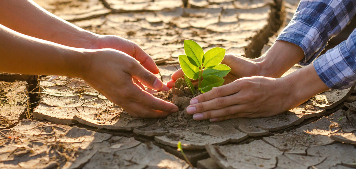 How to Combat Climate Change Denial With Facts About Climate Change ...