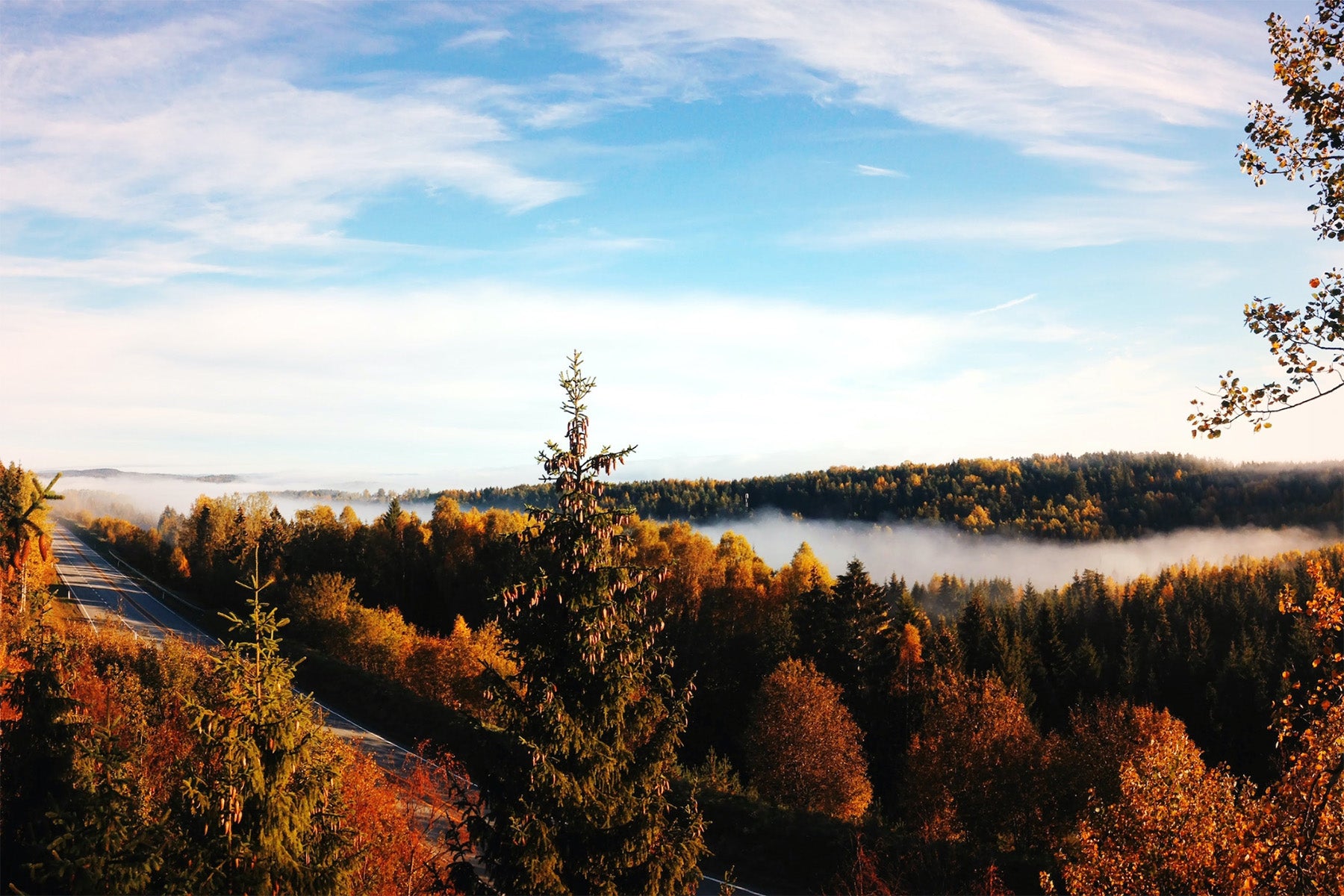 September Nature Pictures