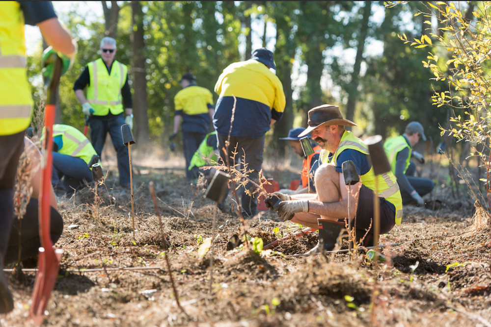Good News! 9 Positive Environmental Stories from April 2021 - One Tree ...