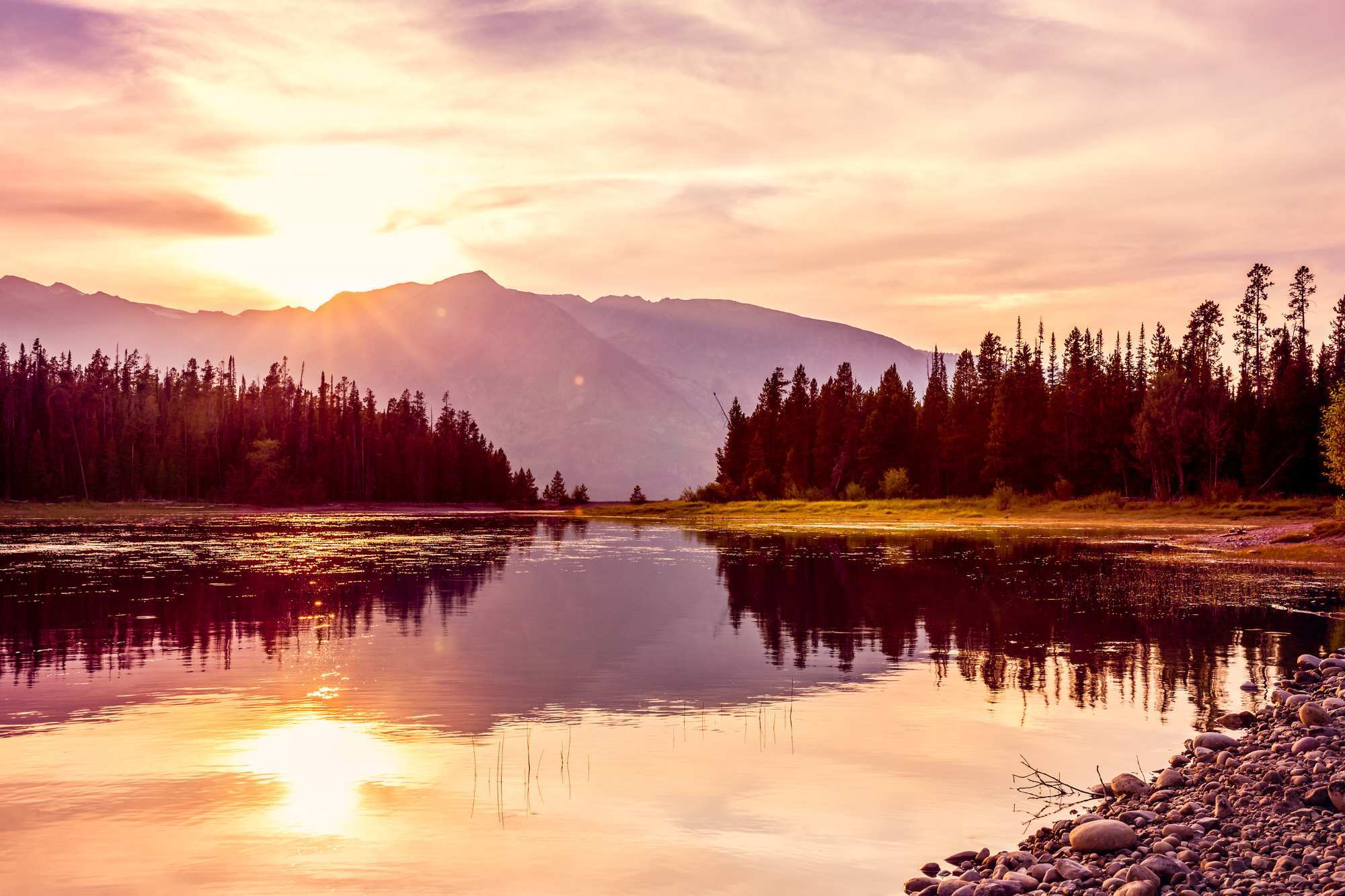 Good News! 6 Positive Environmental Stories from January 2023 - One ...