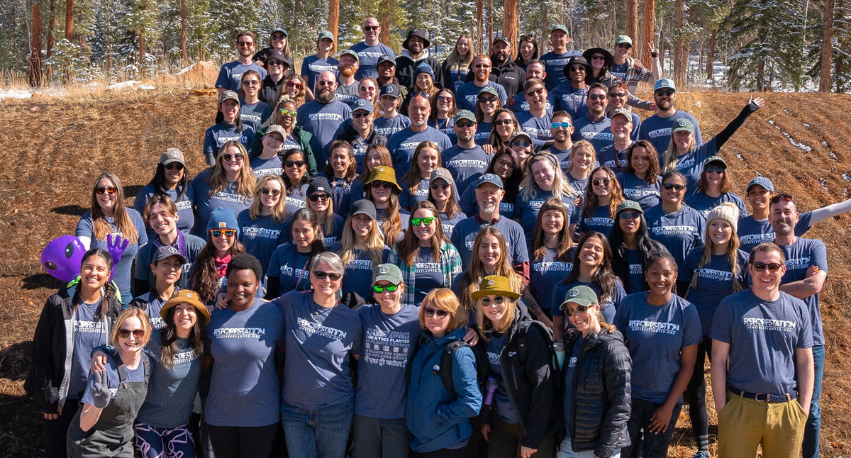 Celebrating 100 Million Trees Planted Since 2014 - One Tree Planted