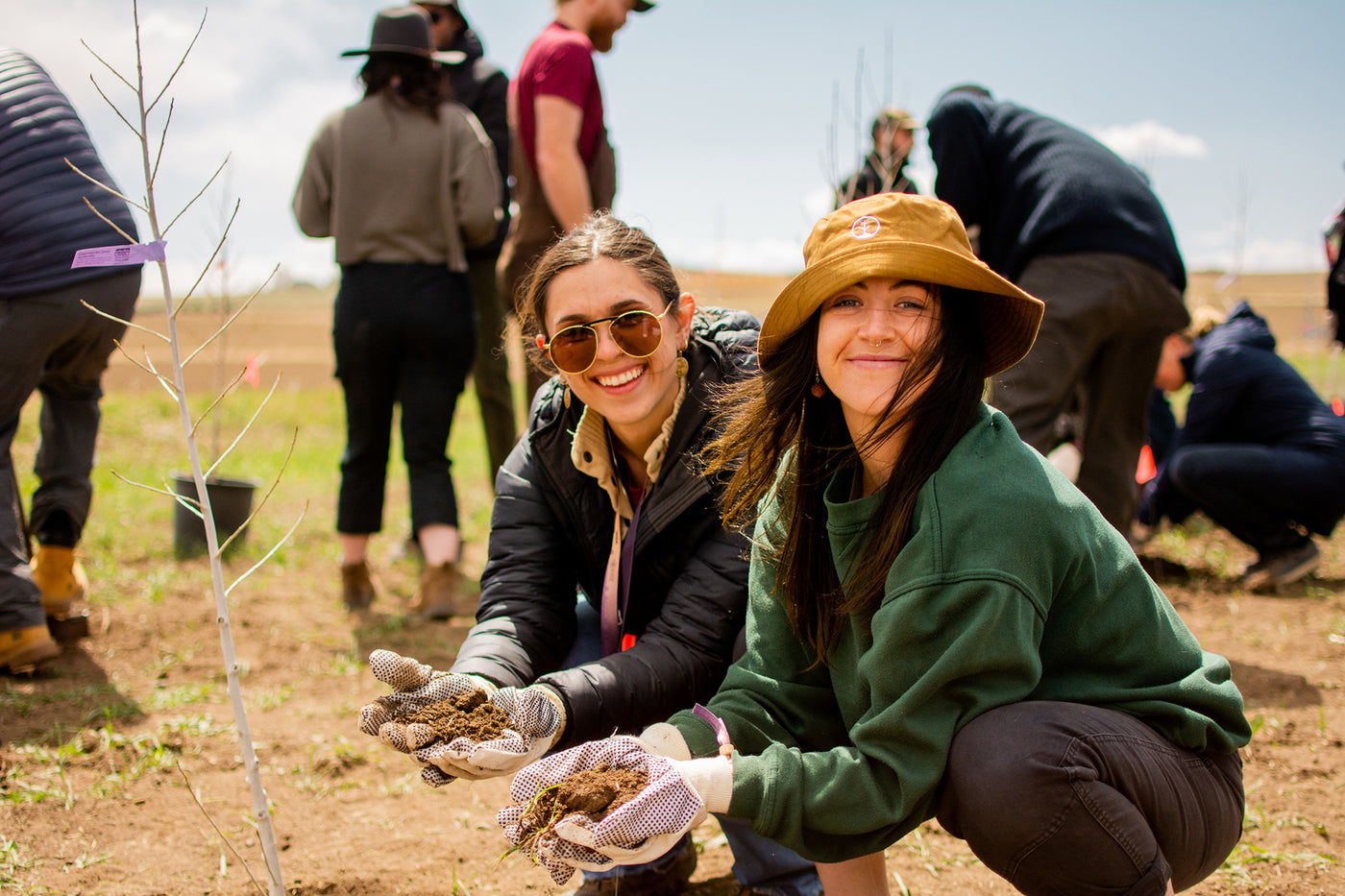 Stories | One Tree Planted Tagged "good news"