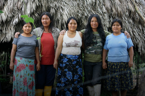150,000 Trees Planted With the Sapara Women's Association in the Amazo ...