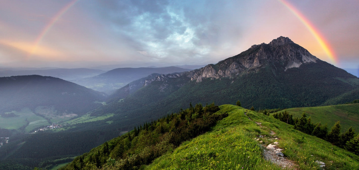 Good News! 30 Positive Environmental Stories from 2023 - One Tree Planted