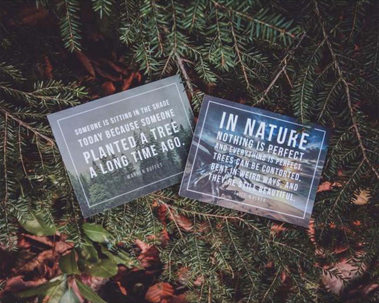 Shop | One Tree Planted