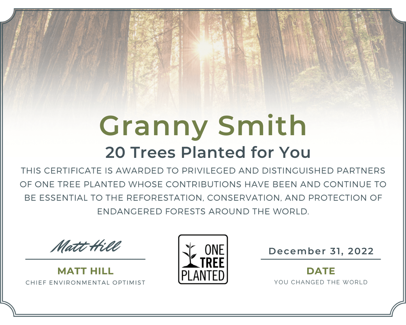 Gift Trees | One Tree Planted