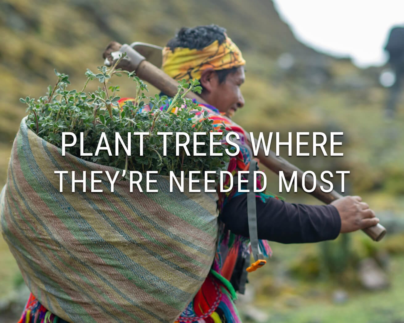 Tree Quote Card | Every Product Plants A Tree | One Tree Planted