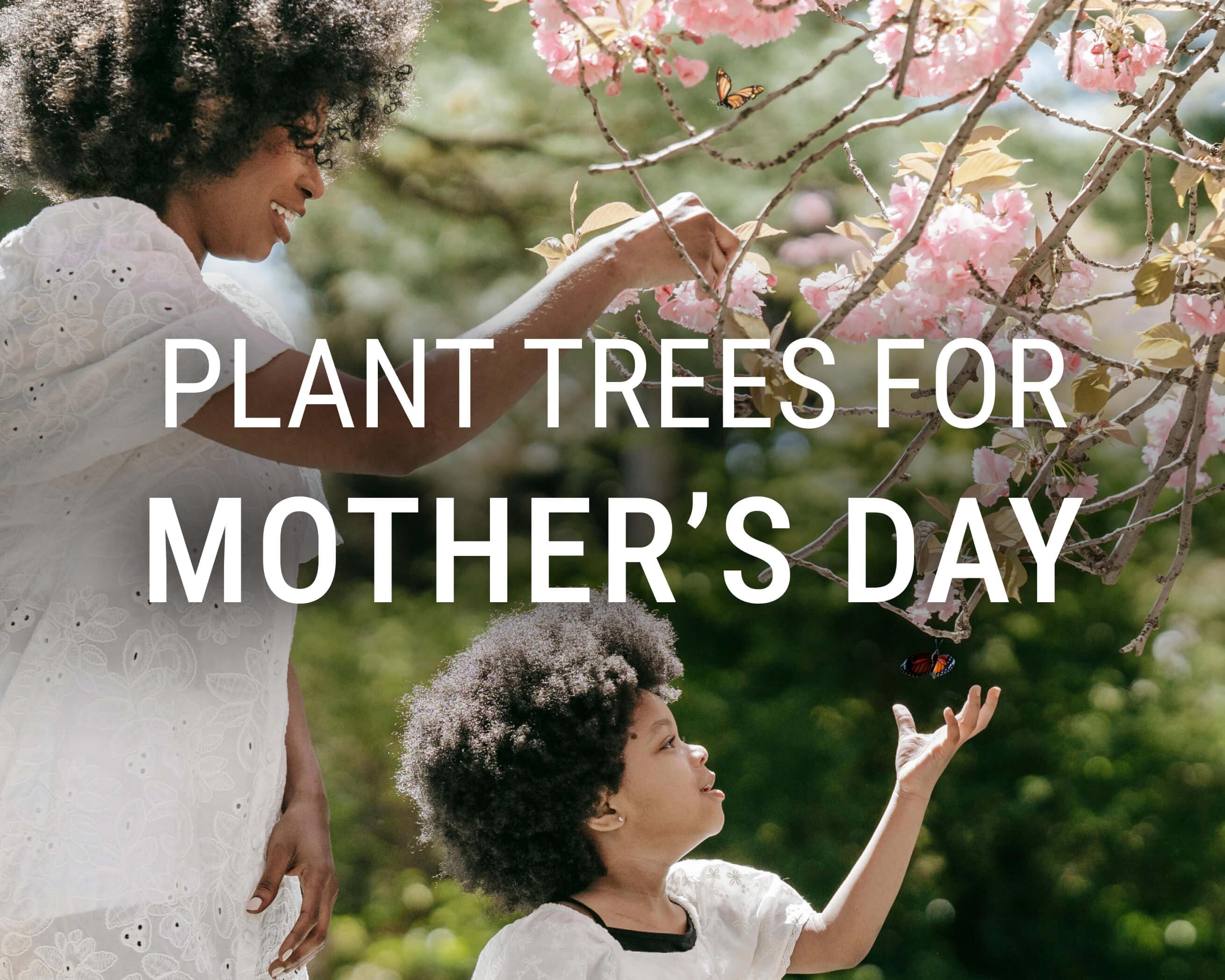 The Grove: Monthly Giving | One Tree Planted