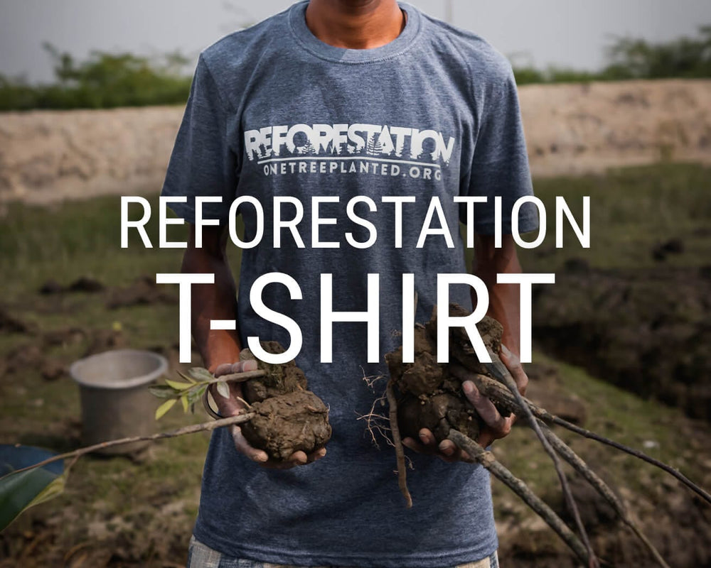 Find Out Your Tree Personality | One Tree Planted