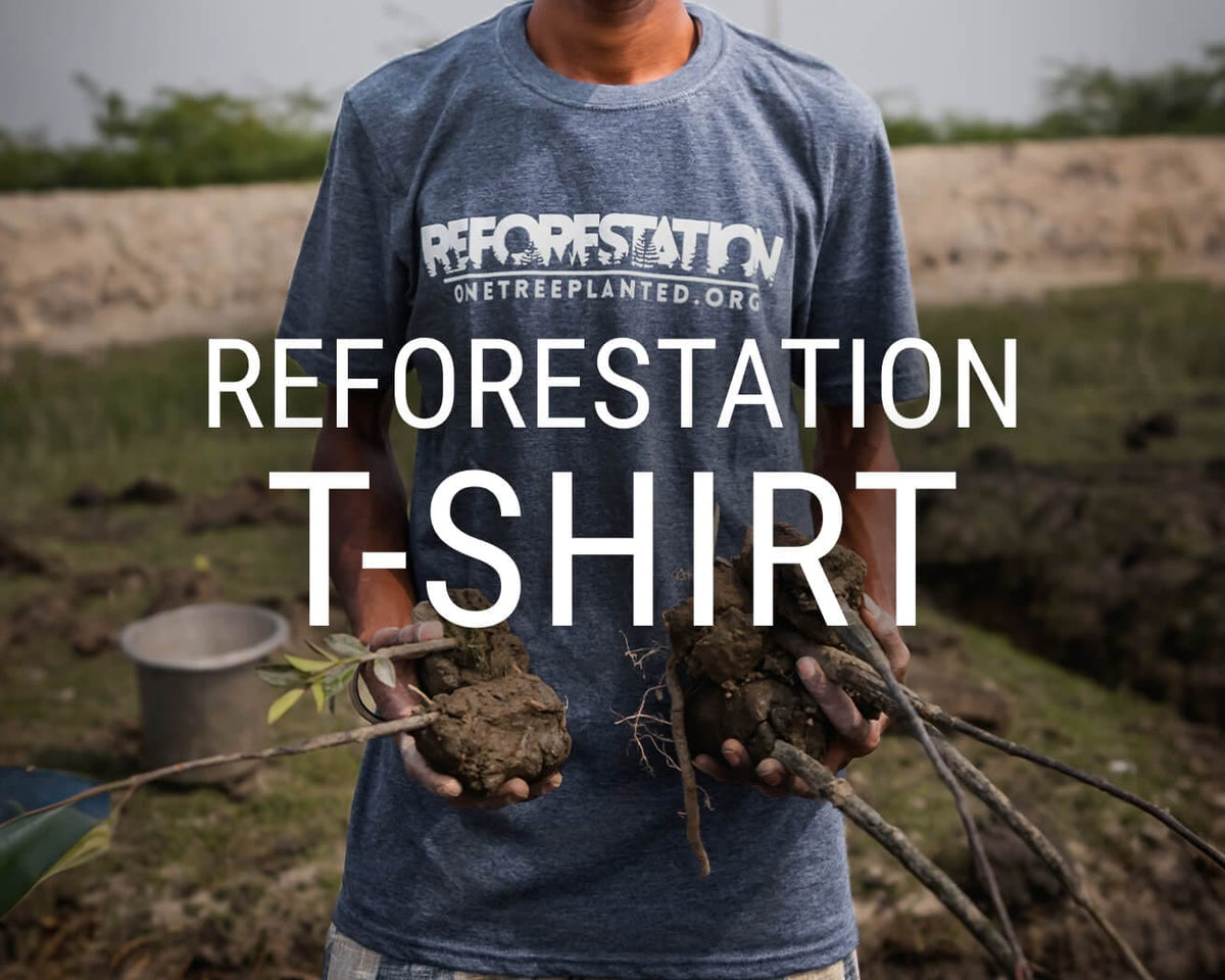 Find Out Your Tree Personality | One Tree Planted