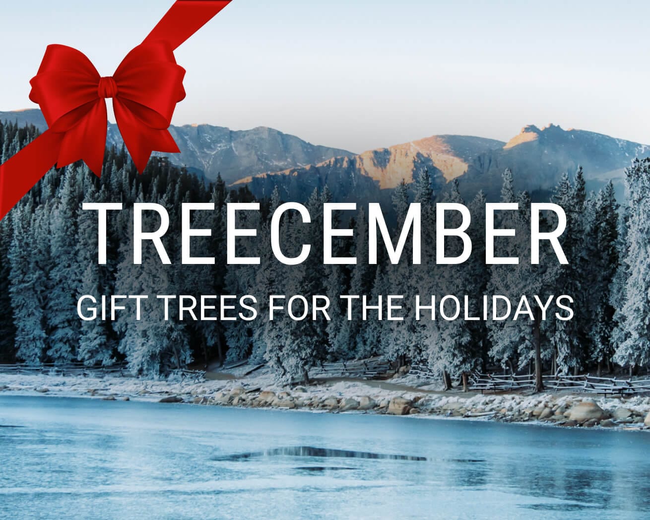 Inspirational Quotes About Trees - One Tree Planted