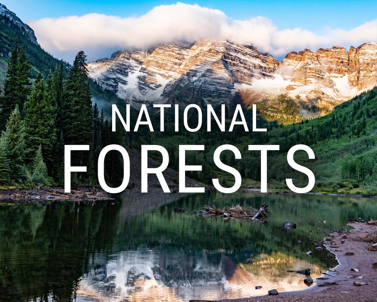 10 Ways to Cope With Inflation - One Tree Planted