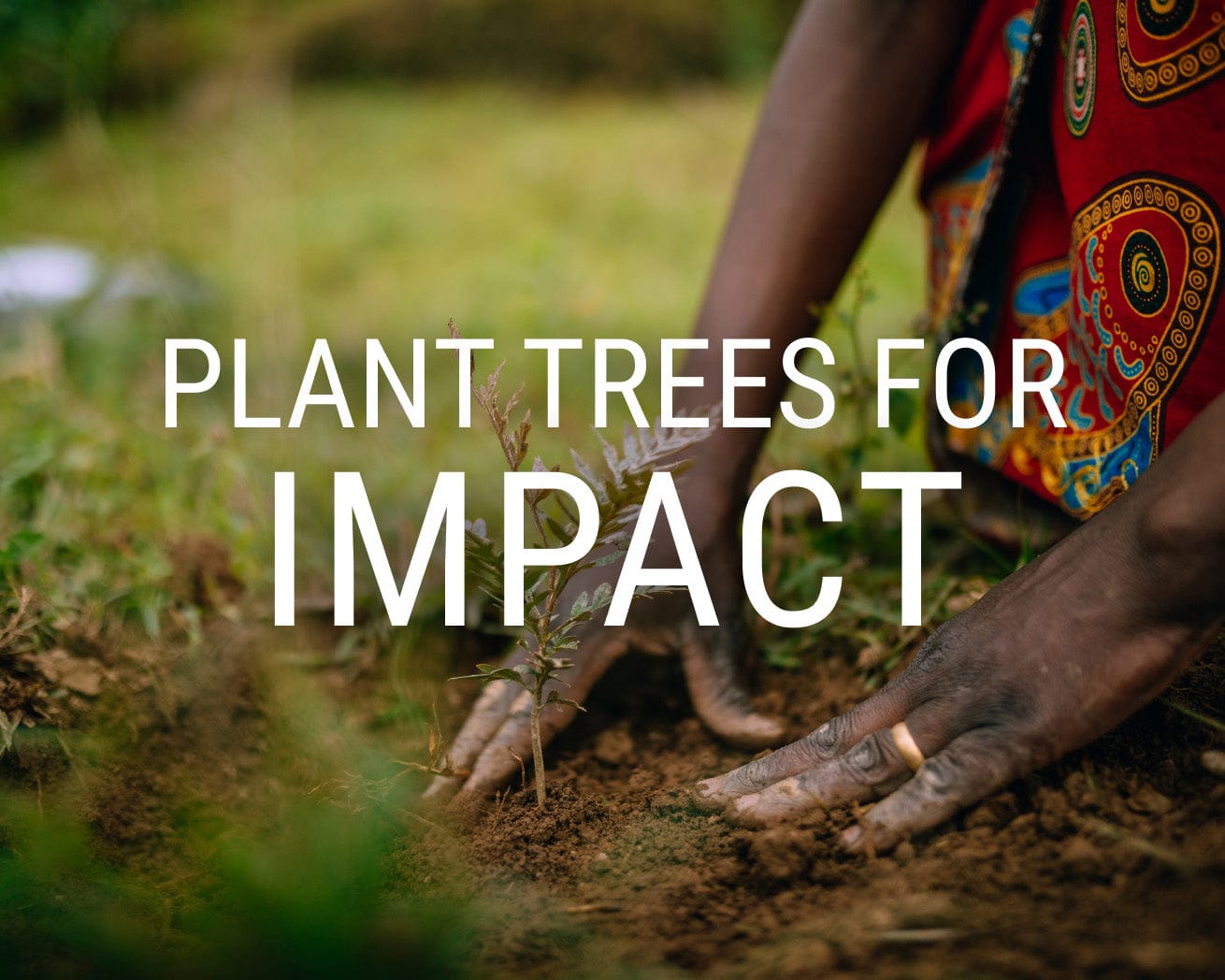 Planting Partners | One Tree Planted
