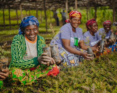 Plant Trees in Rwanda | One Tree Planted