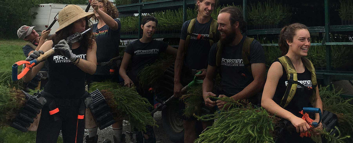 Shop | One Tree Planted