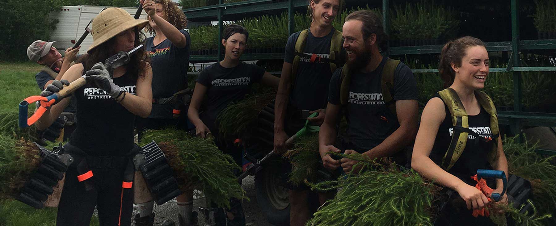 Shop | One Tree Planted