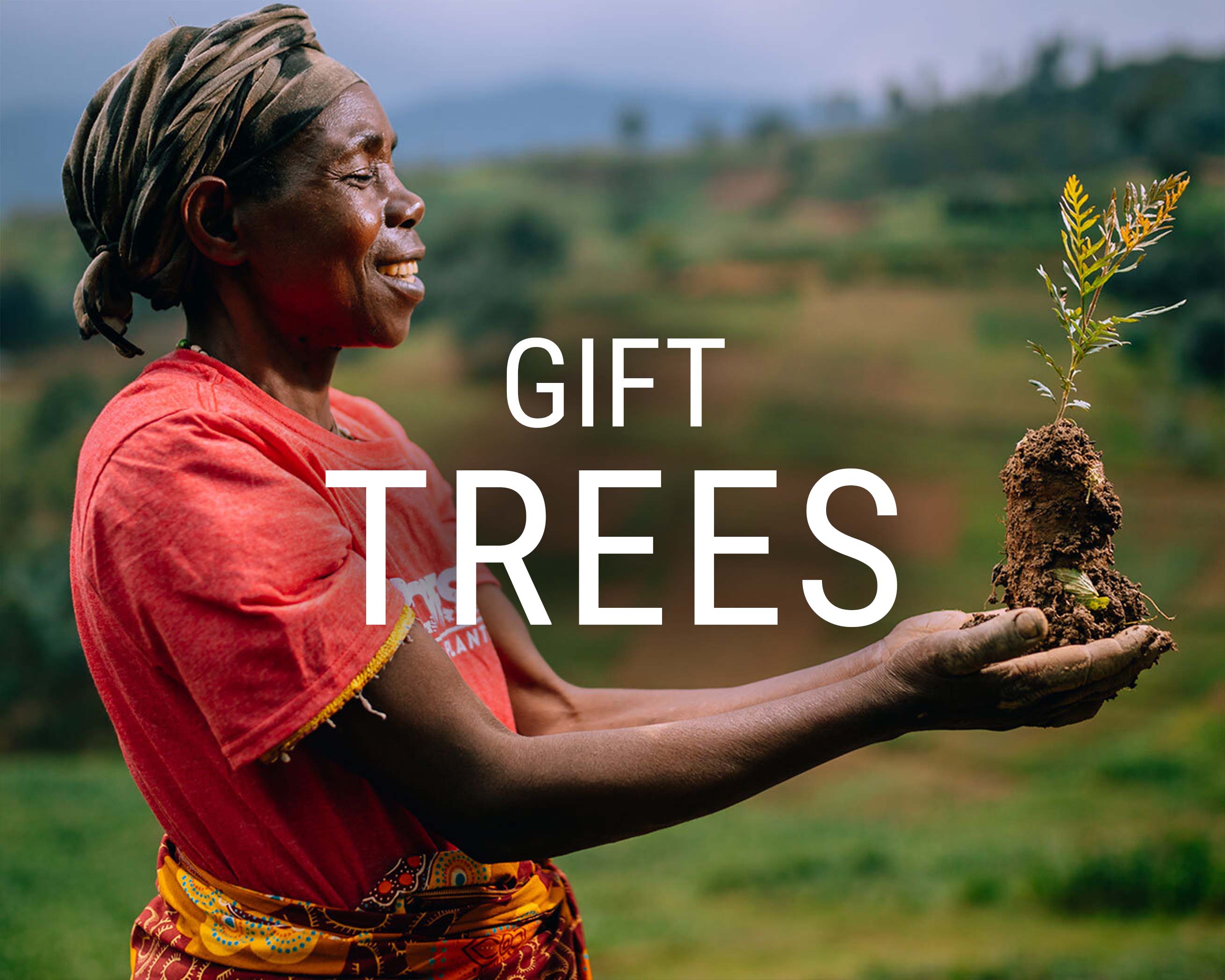 Find Out Your Tree Personality | One Tree Planted