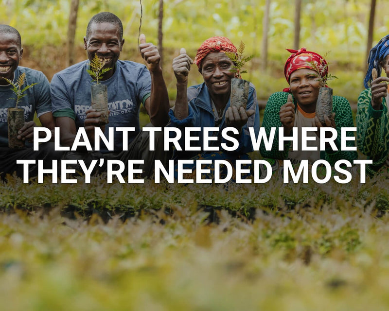 Plant Trees Where They're Needed Most | One Tree Planted