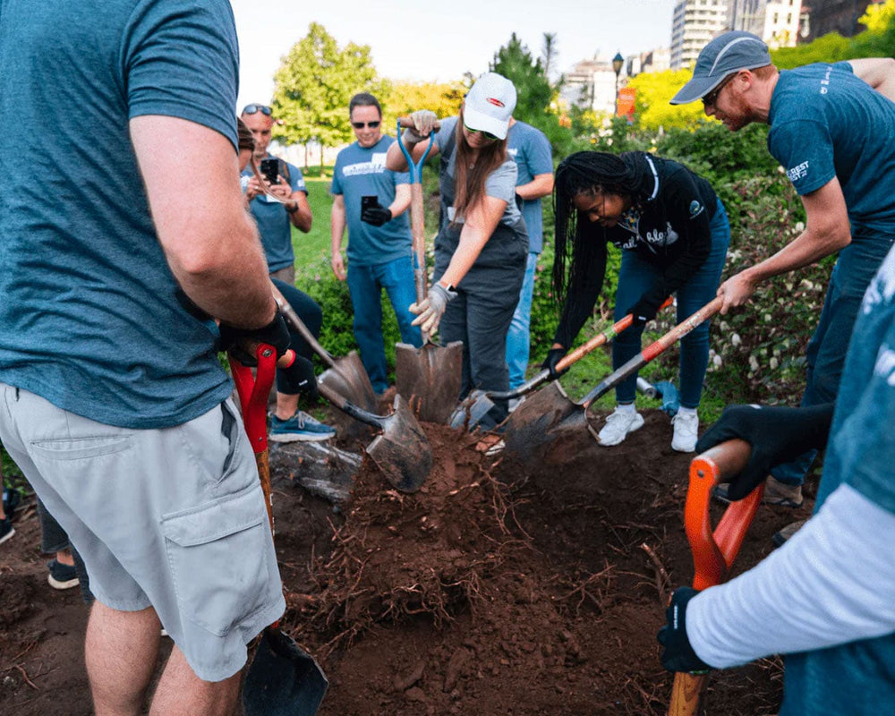 Plant Trees for Urban Forestry | One Tree Planted