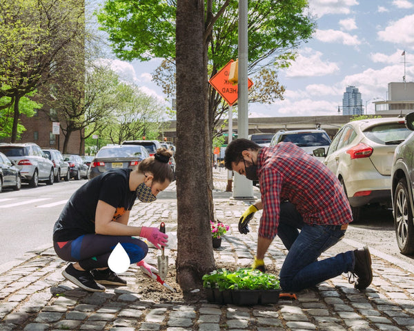 Plant Trees for Urban Forestry | One Tree Planted