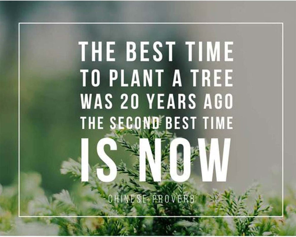 Tree Quote Card | One Tree Planted
