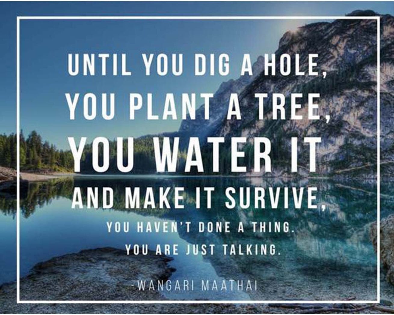 Tree Quote Card | One Tree Planted