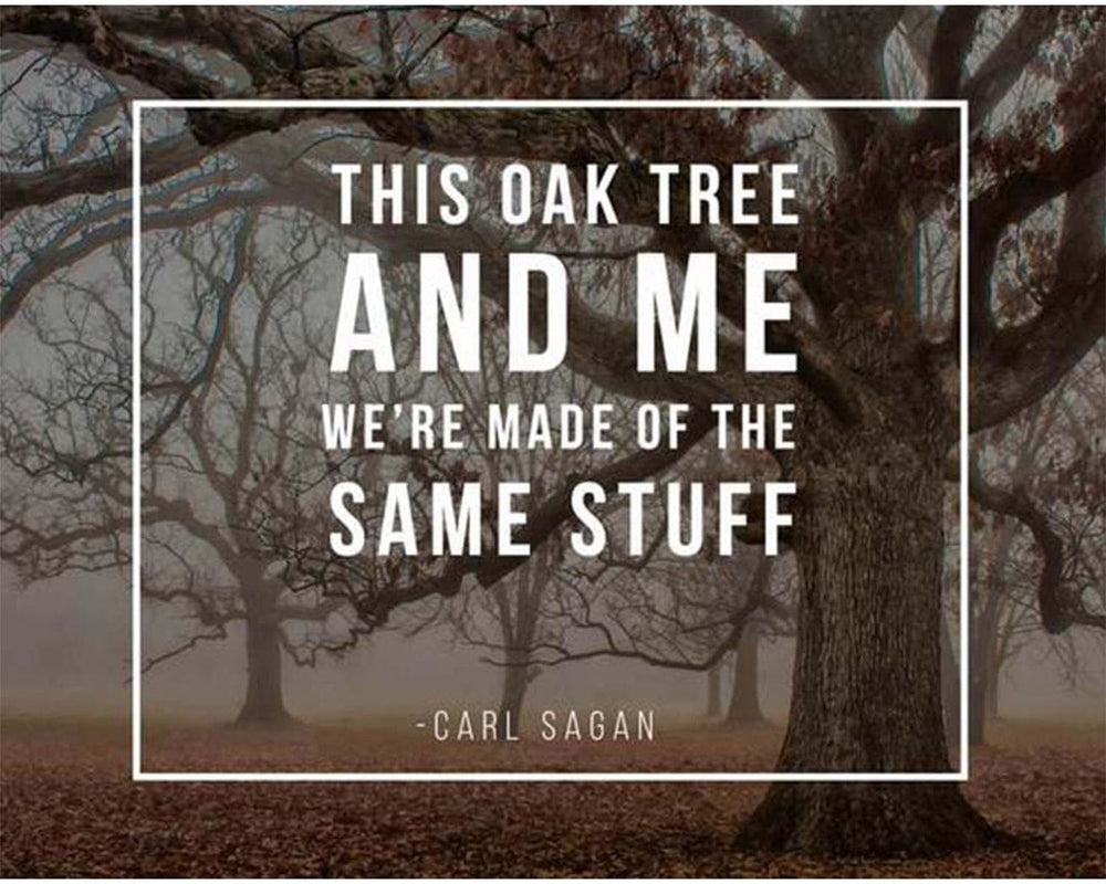Tree Quote Card | One Tree Planted