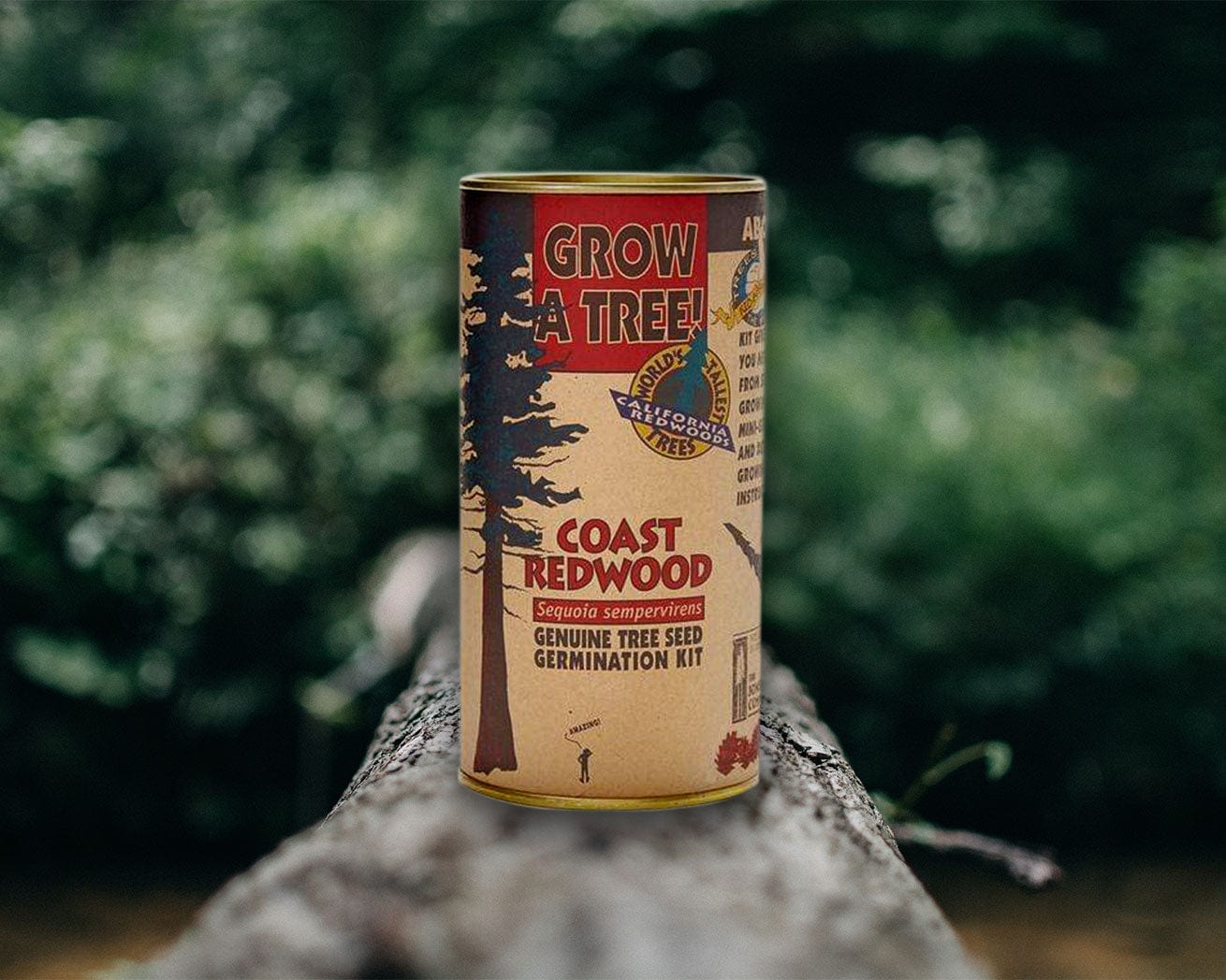 Red Maple Tree Seed Grow Kit The Jonsteen Company Store Mini-Grow Kits ...