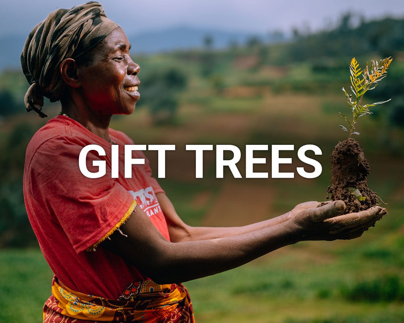 Gift Trees | One Tree Planted
