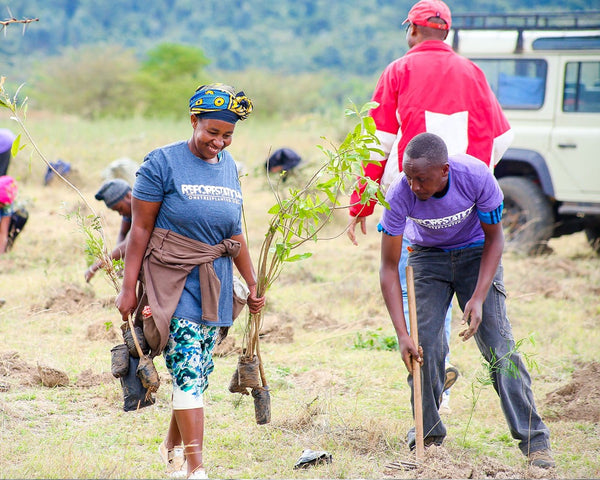 Plant Trees for Biodiversity | One Tree Planted