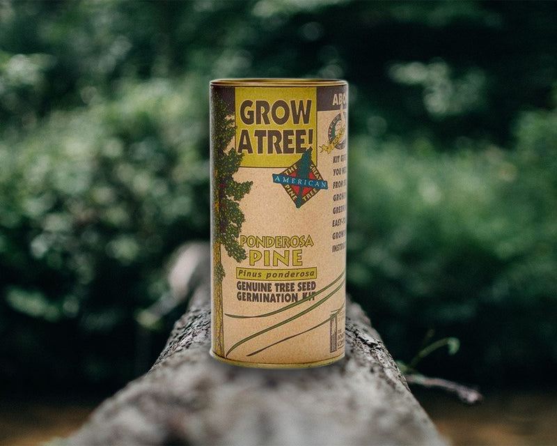 Plant A Tree Kit | Eco-Friendly Gifts | One Tree Planted