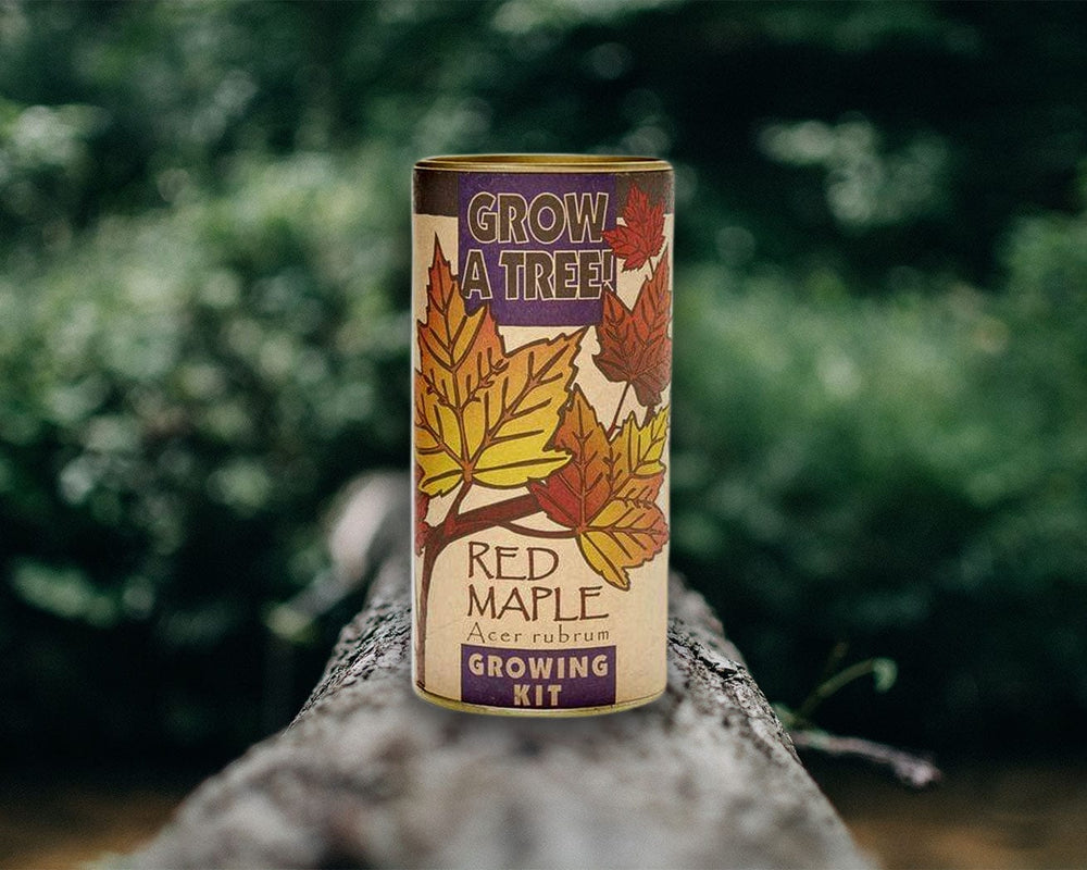 Plant A Tree Kit | Eco-Friendly Gifts | One Tree Planted