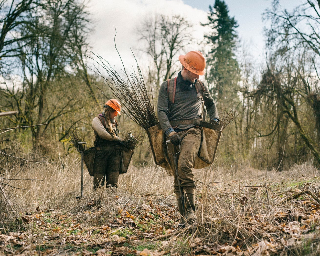 Gift Trees | One Tree Planted